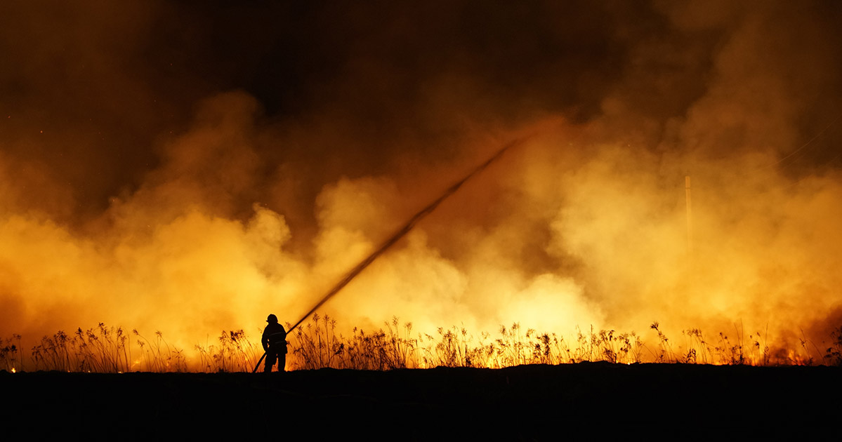South east Australia Bushfire Relief and Recovery