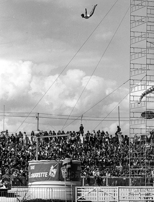 High Diver At The Royal Melbourne Show high-diver-at-the-royal-melbourne-show